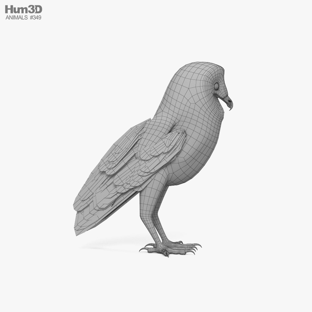 Barn Owl 3D model - Download Birds on 3DModels.org