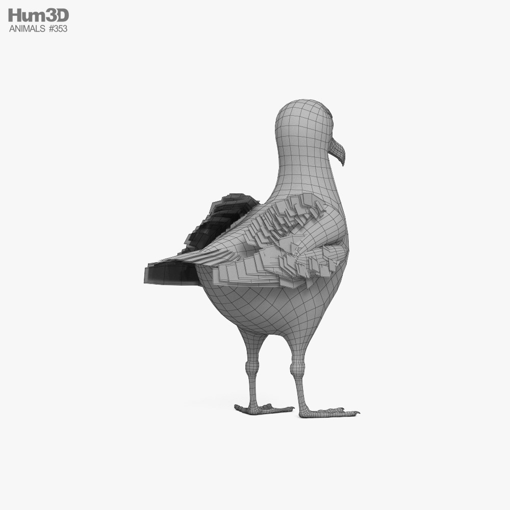 Albatross 3D model - Download Birds on 3DModels.org