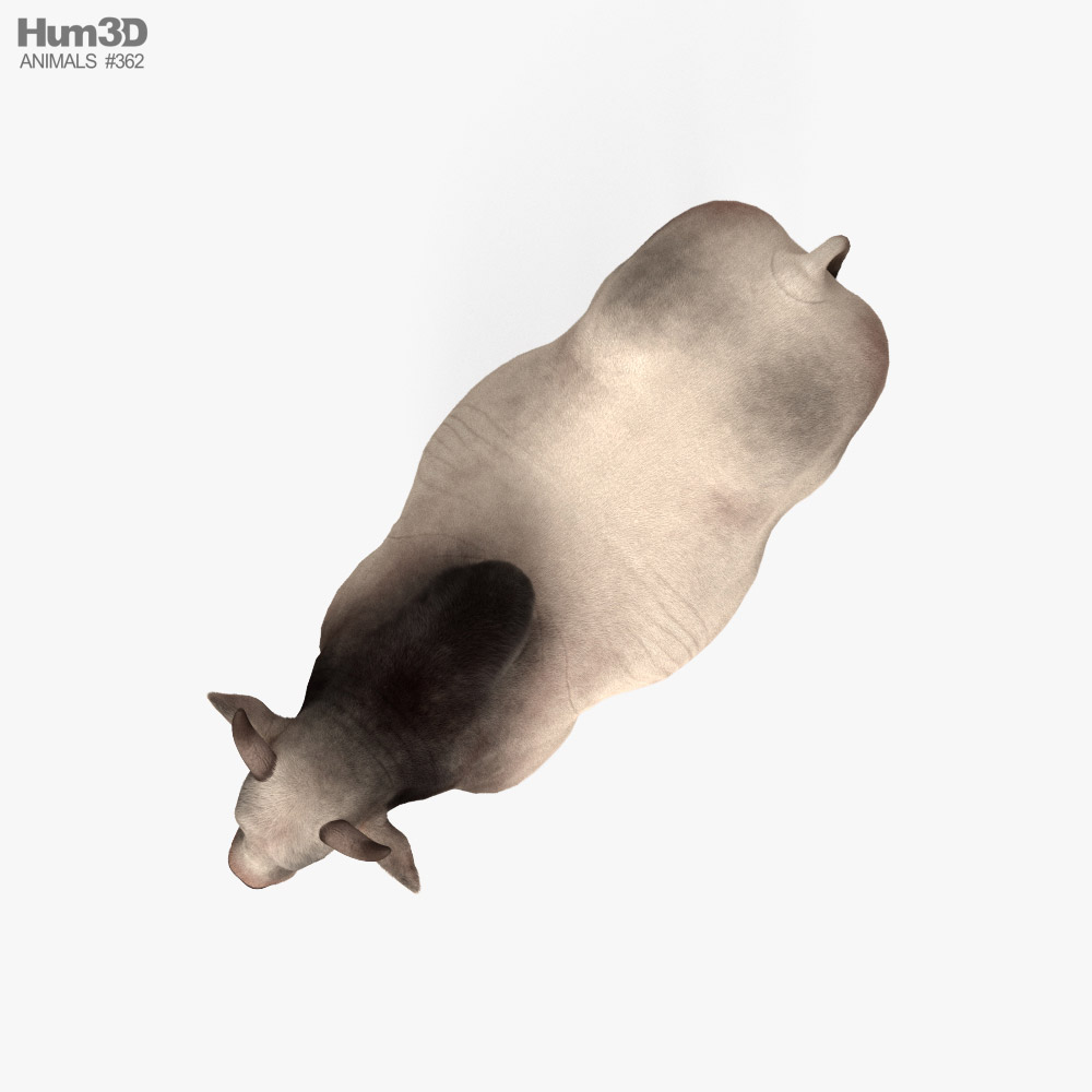 Cebú Modelo 3D - Descargar Mammalia on 3DModels.org