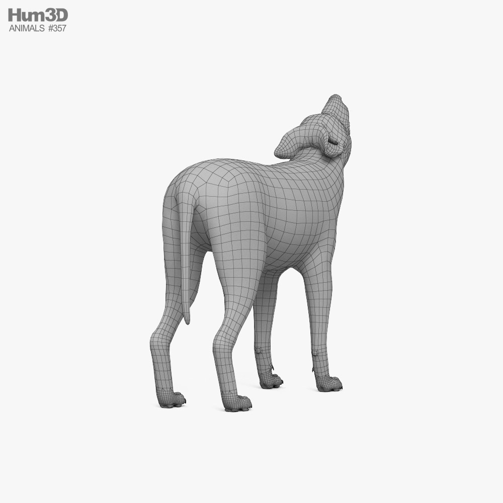 Howling Wolf 3D model - Download Mammals on 3DModels.org