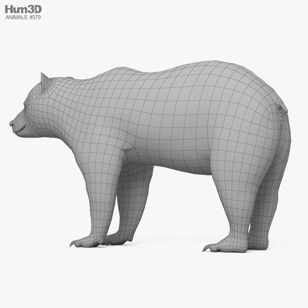 Brown Bear 3D model - Download Mammals on 3DModels.org