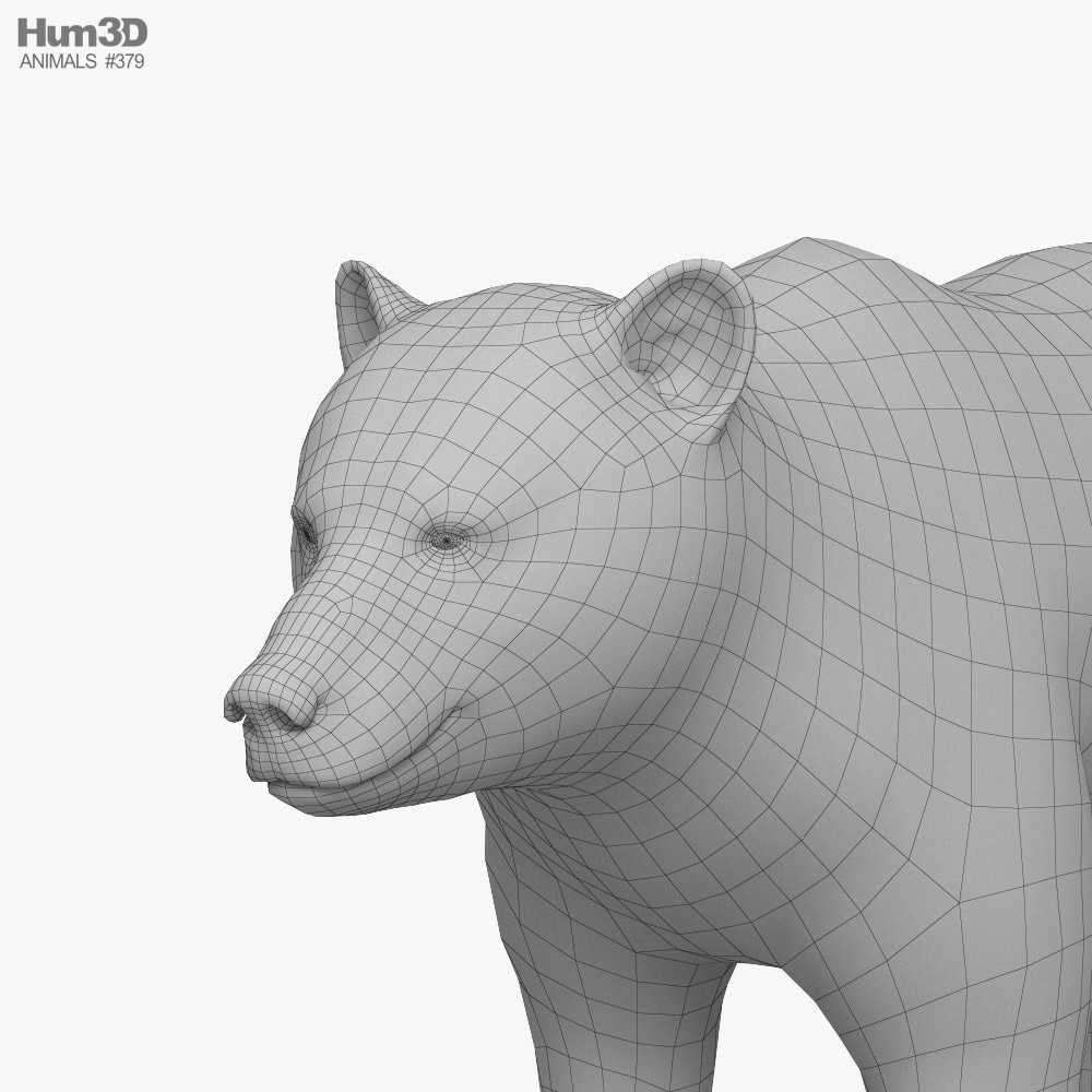 Brown Bear 3D model - Download Mammals on 3DModels.org