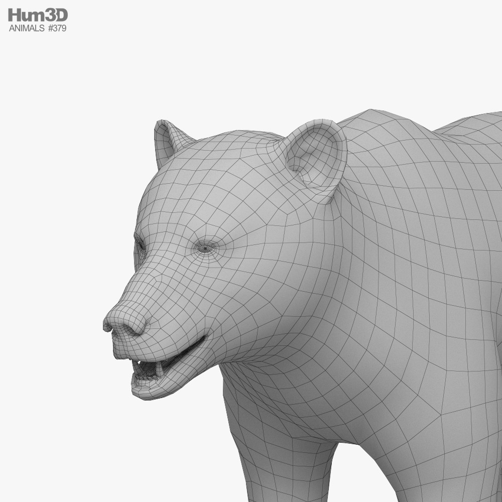 Brown Bear 3D model - Download Mammals on 3DModels.org