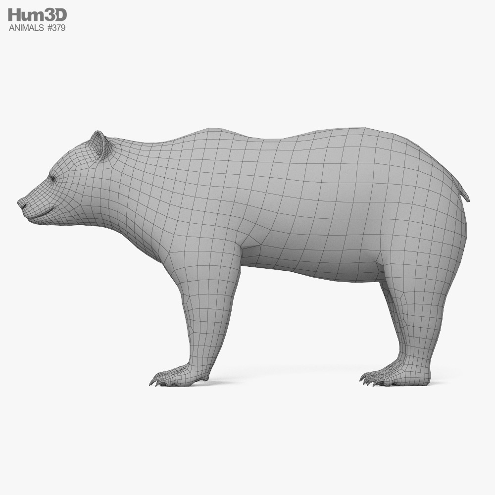 Brown Bear 3D model - Download Mammals on 3DModels.org