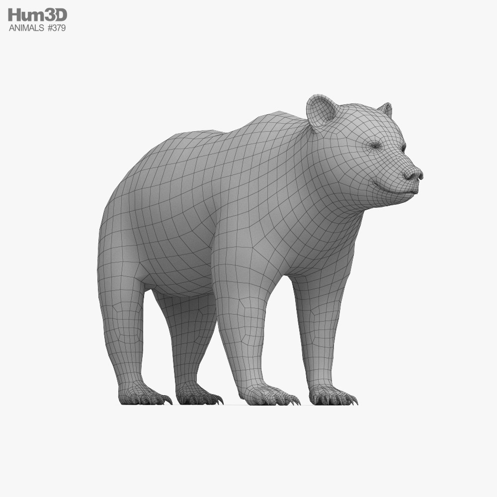 Brown Bear 3D model - Download Mammals on 3DModels.org