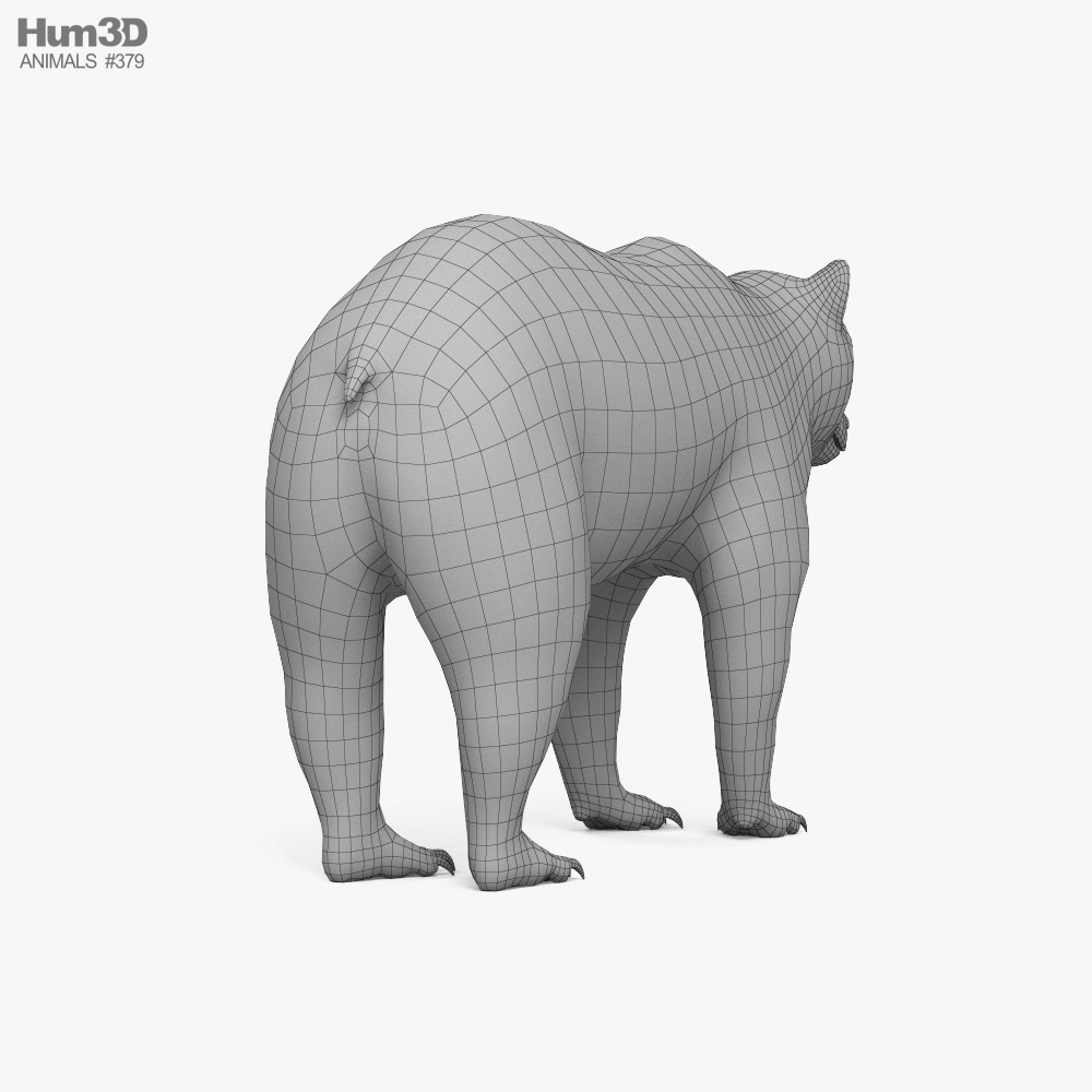 Brown Bear 3D model - Download Mammals on 3DModels.org