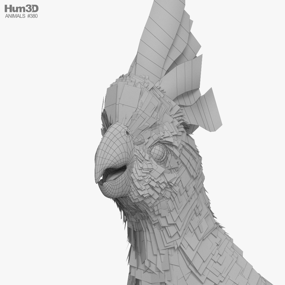 Cockatoo 3D model - Download Birds on 3DModels.org