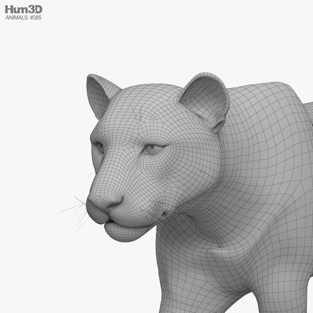 Walking Tiger 3D model - Download Mammals on 3DModels.org