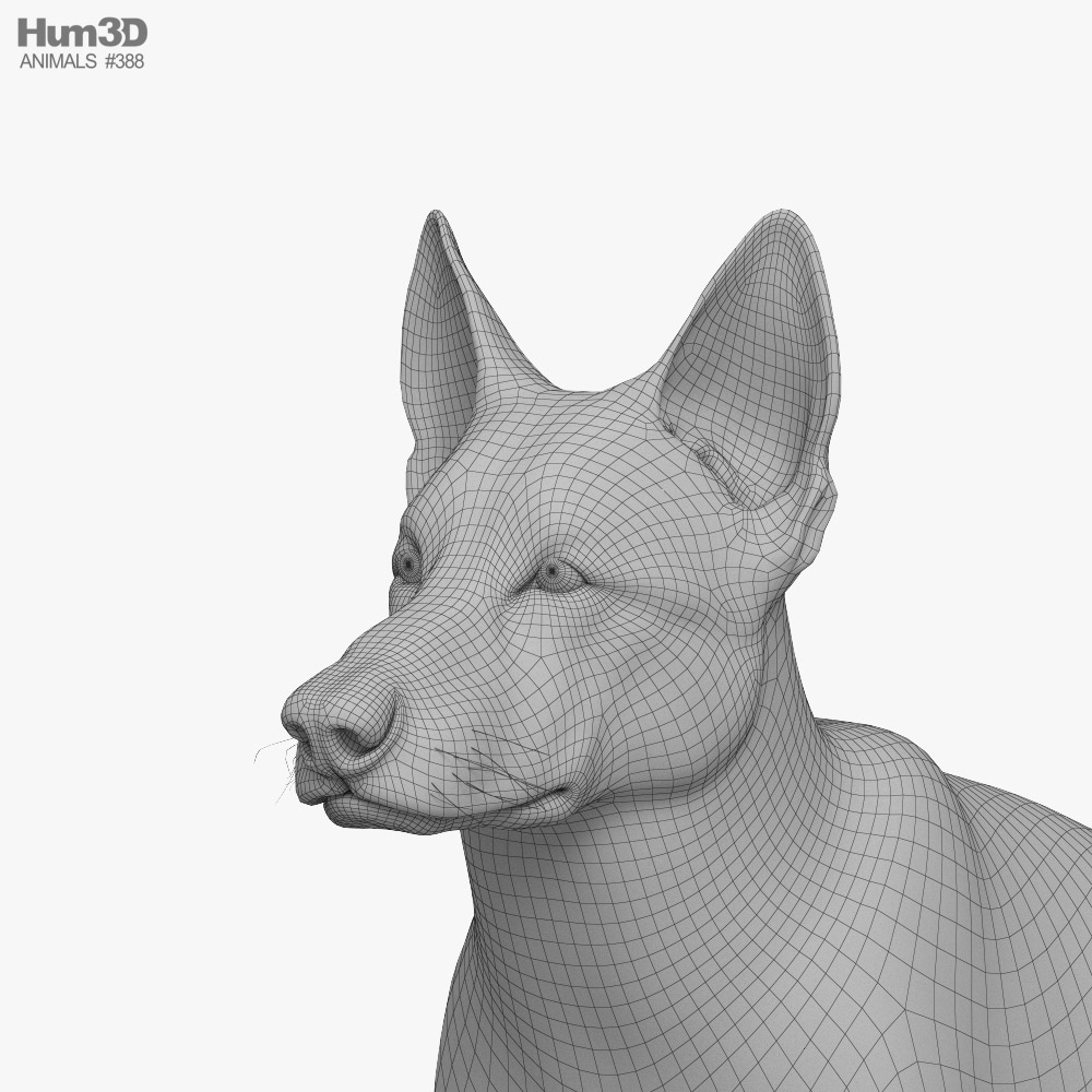Lying German Shepherd 3D model - Download Mammals on 3DModels.org