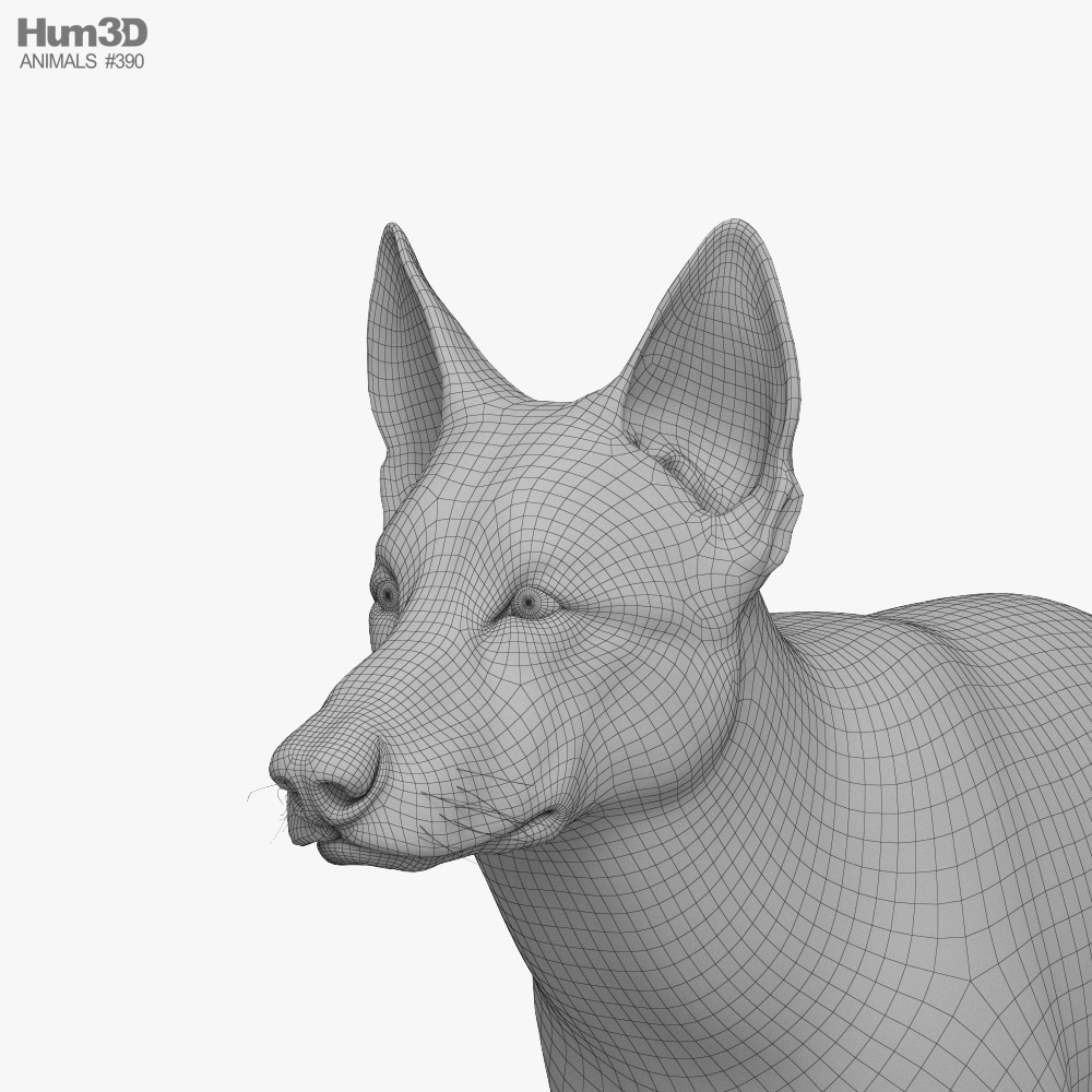 Walking German Shepherd 3D model - Download Mammals on 3DModels.org