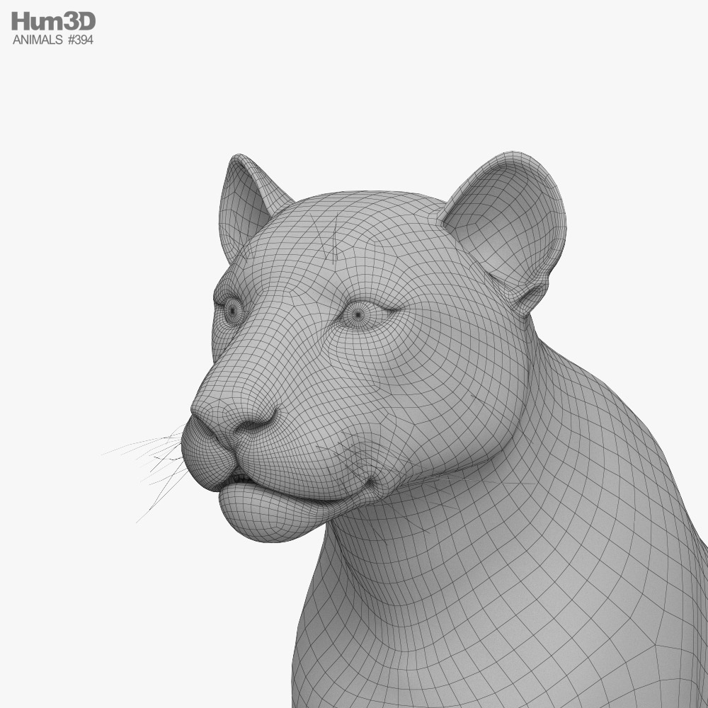 Sitting Tiger 3D model - Download Mammals on 3DModels.org
