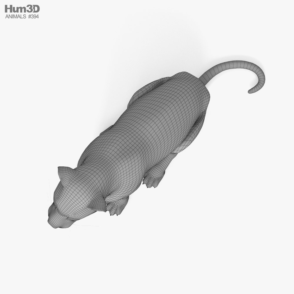 Sitting Tiger 3D model - Download Mammals on 3DModels.org