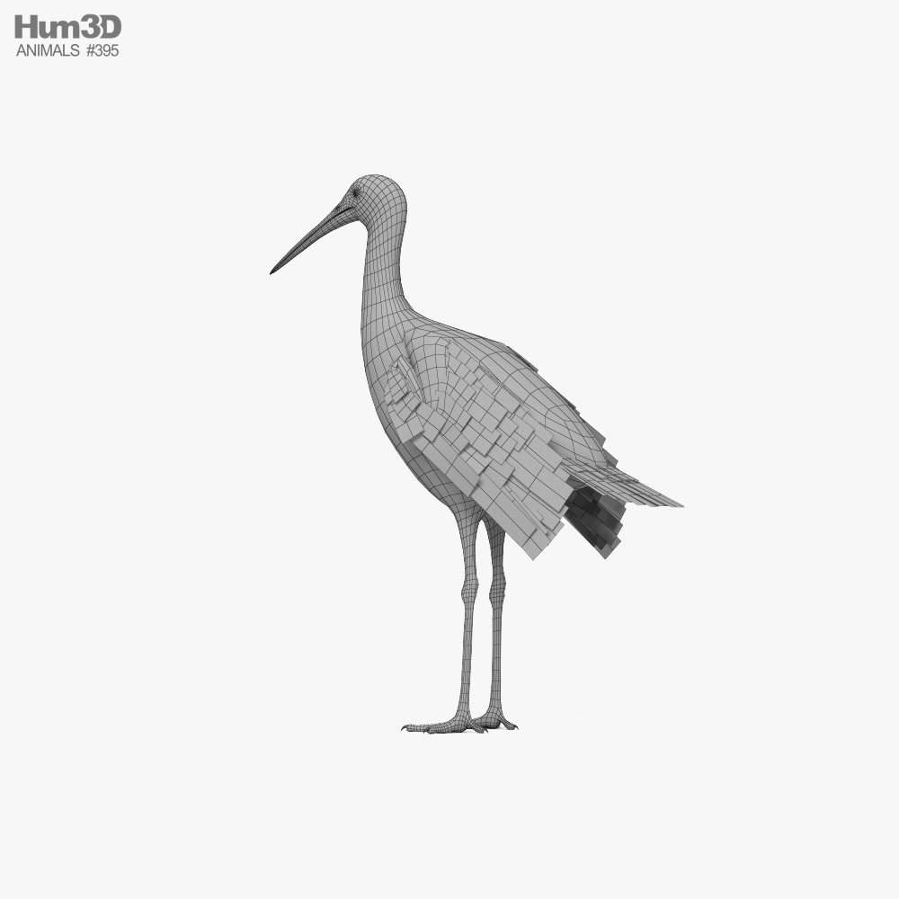 White Stork 3D model - Download Birds on 3DModels.org