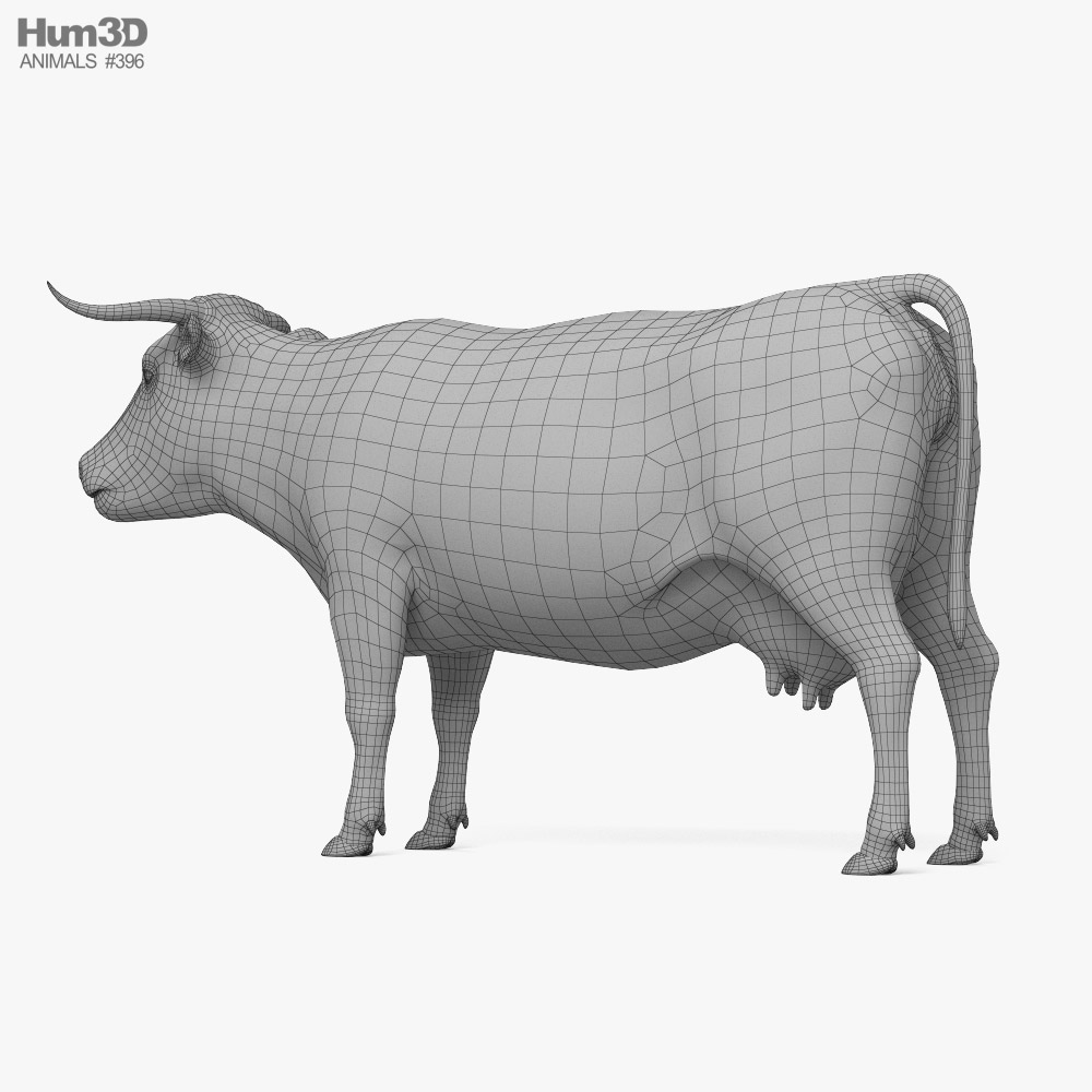 Highland Cattle 3D model - Download Mammals on 3DModels.org