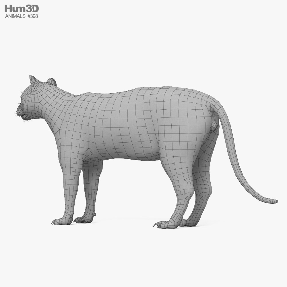Ocelot 3D model - Download Mammals on 3DModels.org