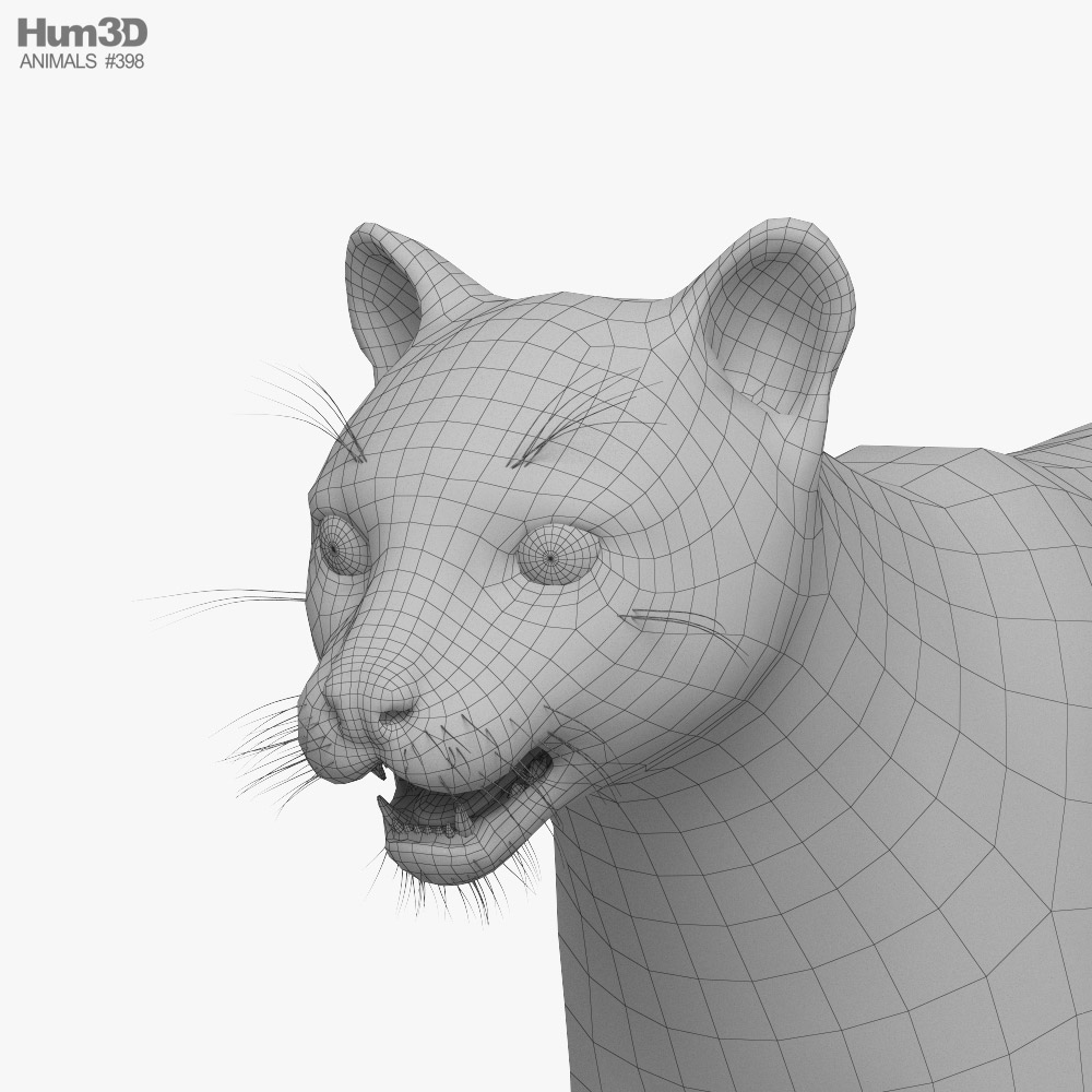 Ocelot 3D model - Download Mammals on 3DModels.org