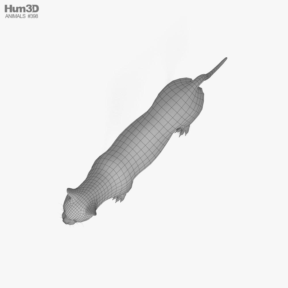 Ocelot 3D model - Download Mammals on 3DModels.org