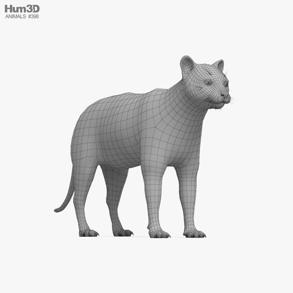 Ocelot 3D model - Download Mammals on 3DModels.org