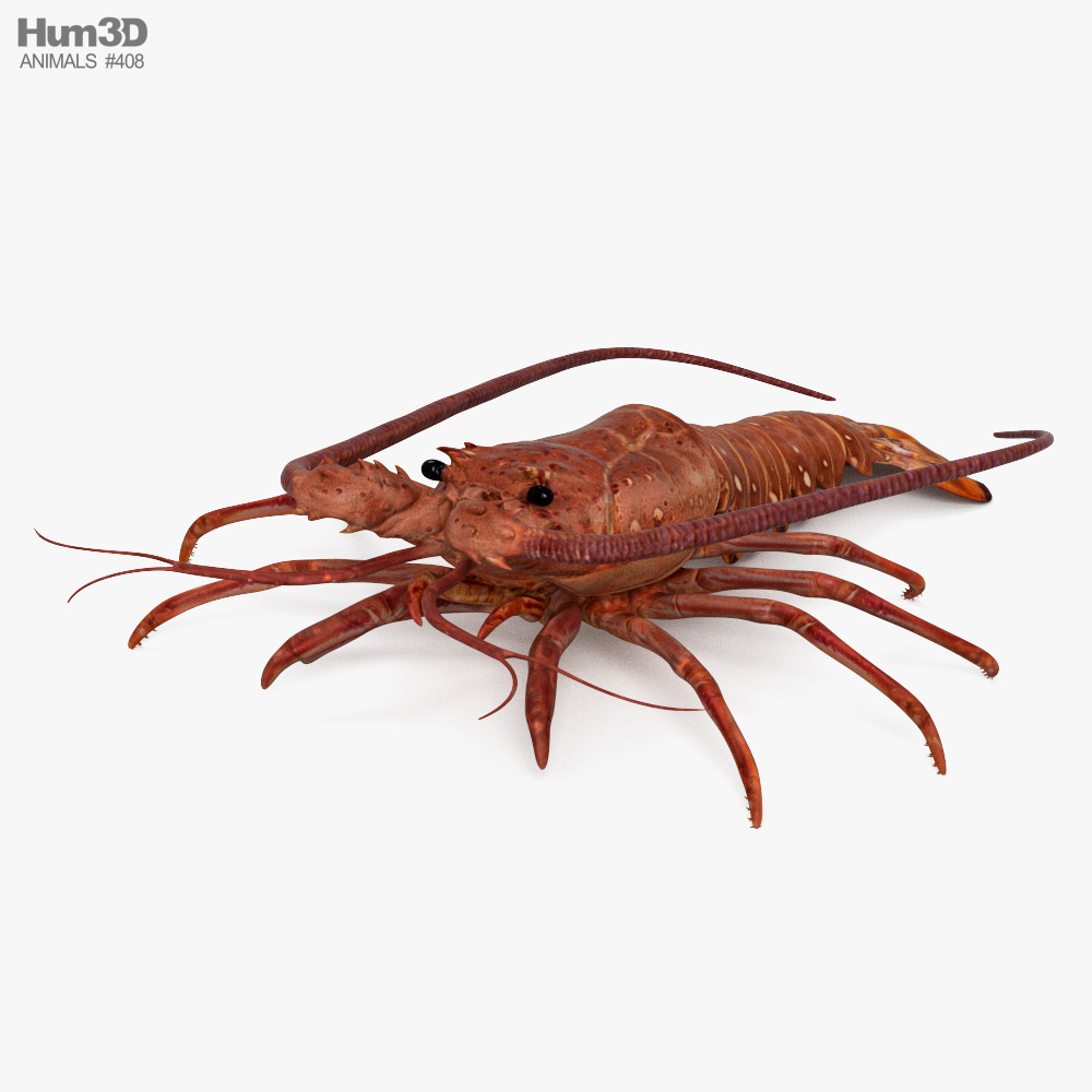 Ocean Animals 3D Models for Download - Page 3 - 3DModels.org