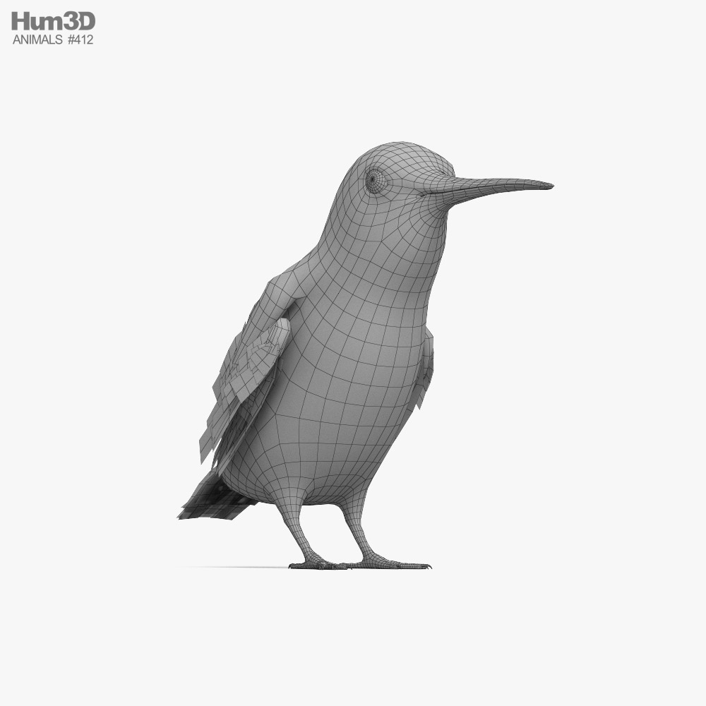 Bee Hummingbird 3D model - Download Birds on 3DModels.org