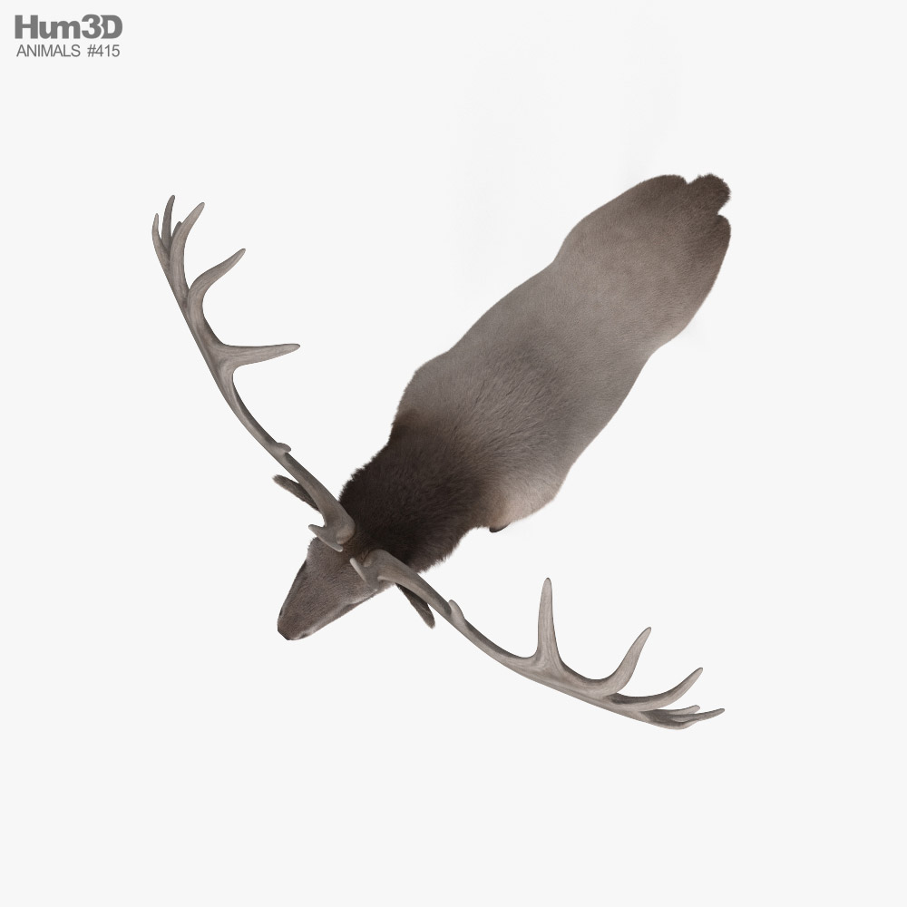 Irish Elk 3D model - Download Mammals on 3DModels.org