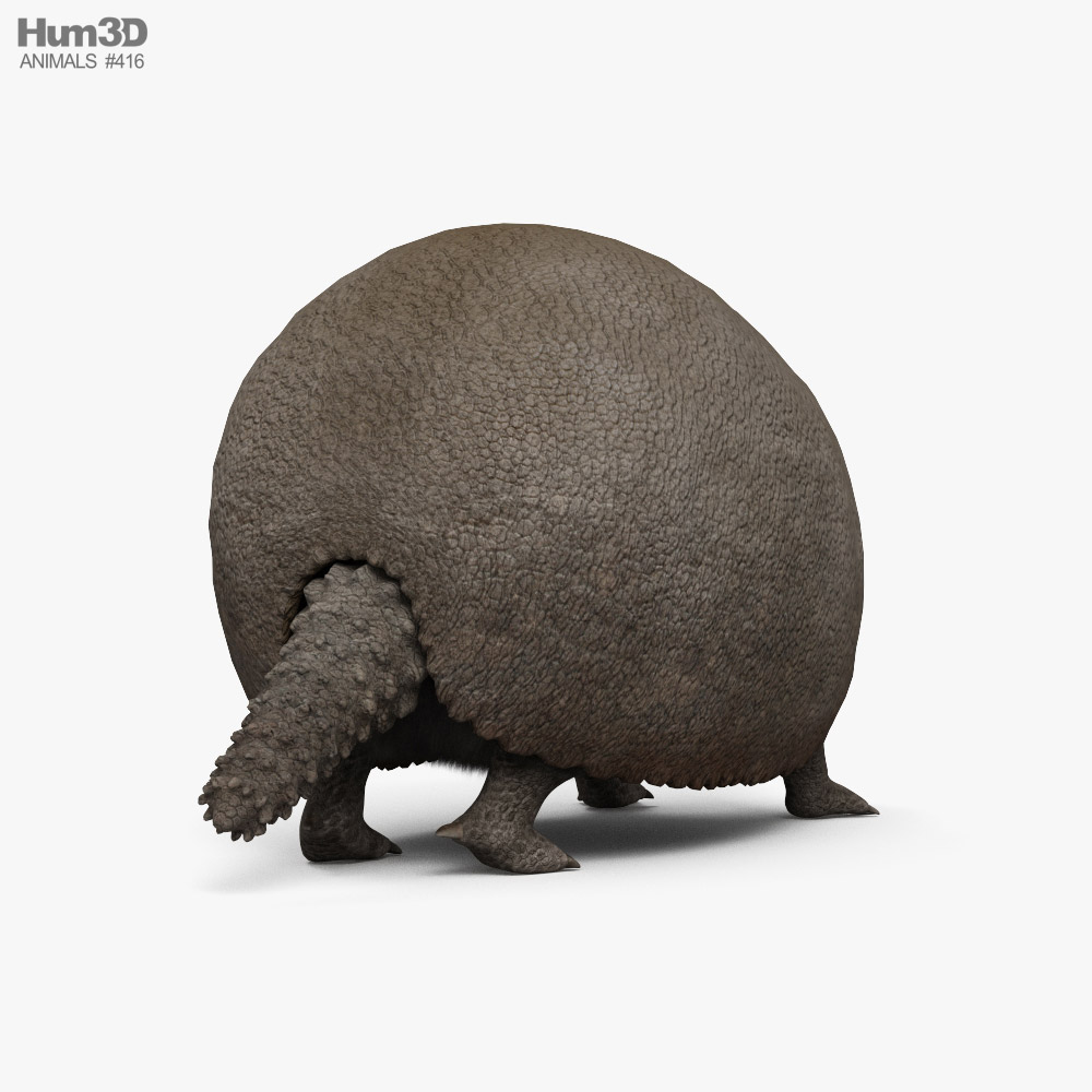Glyptodon Modelo 3D - Baixar Dinossauro no 3DModels.org