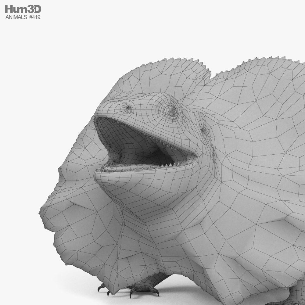 Frill-Necked Lizard 3D model - Download Reptile on 3DModels.org