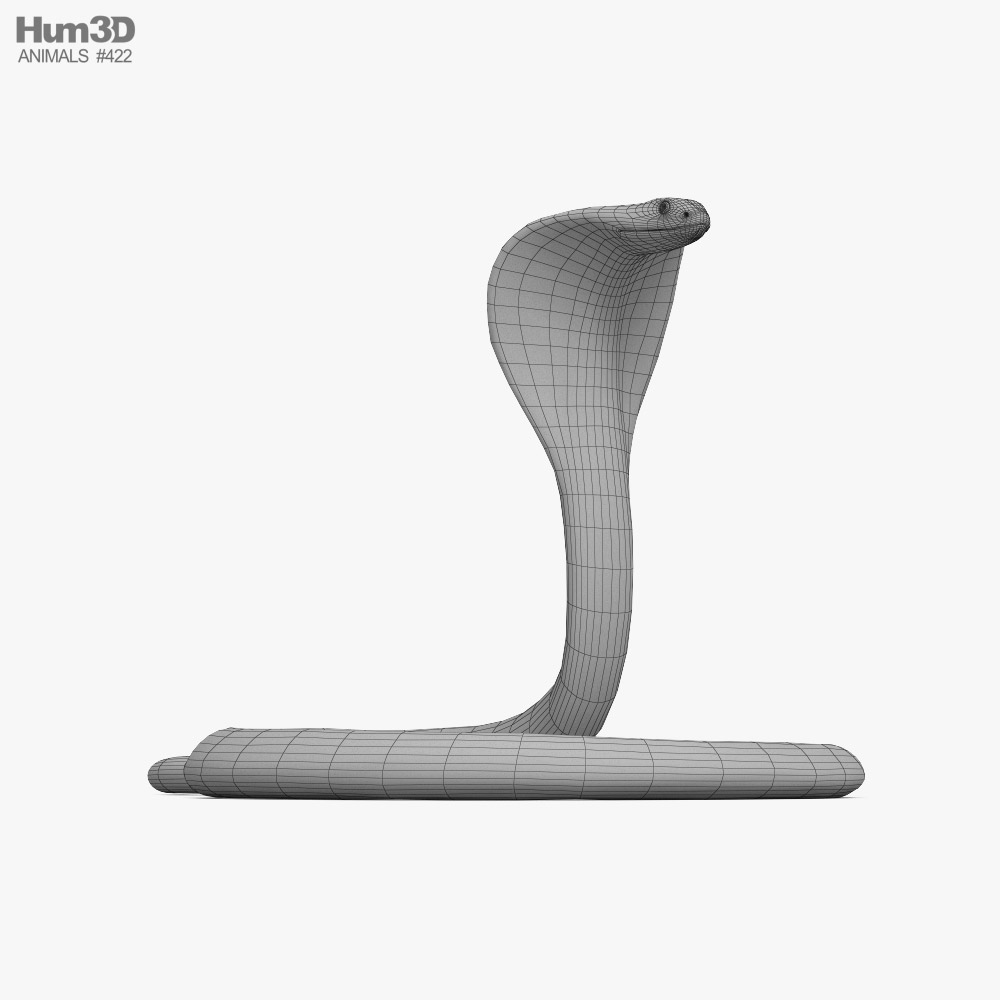 Indian Cobra 3D model - Download Reptile on 3DModels.org