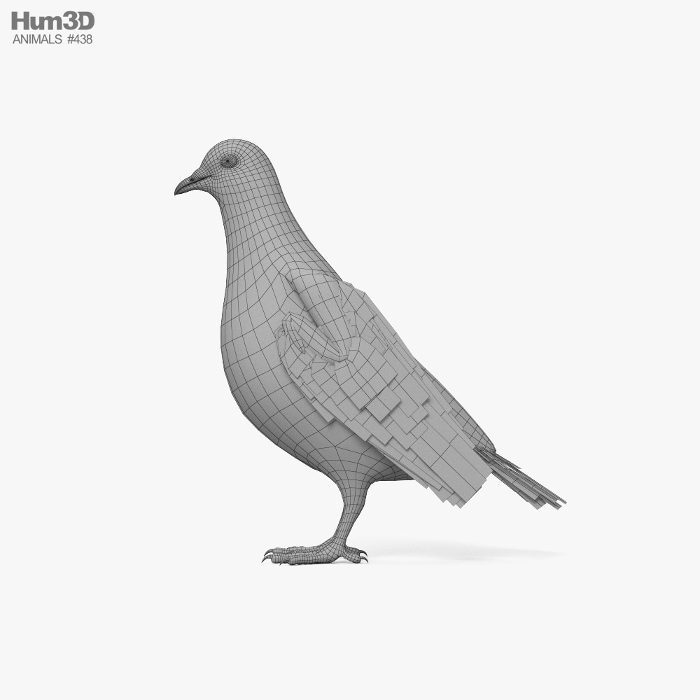 Paloma blanca Modelo 3D - Descargar Aves on 3DModels.org