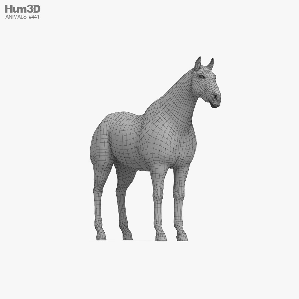 American Quarter Horse 3D model - Download Mammals on 3DModels.org