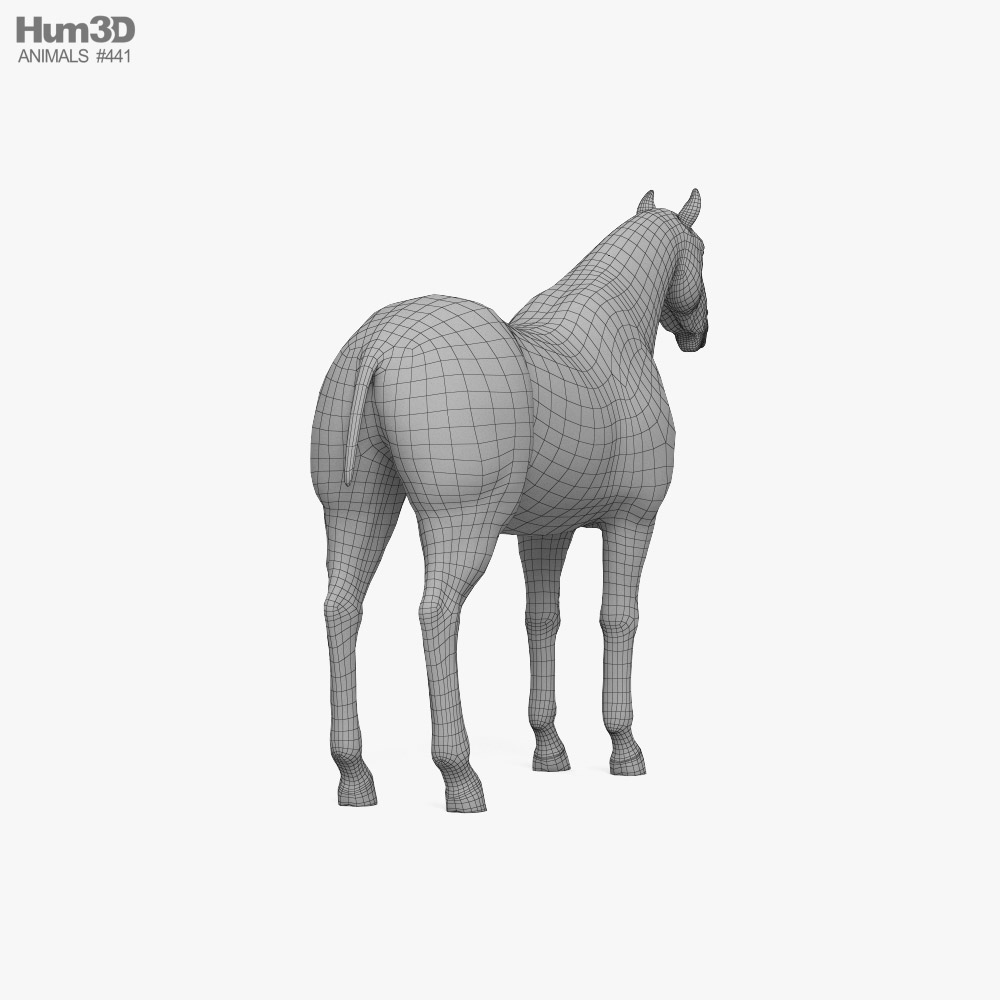 American Quarter Horse 3D model - Download Mammals on 3DModels.org