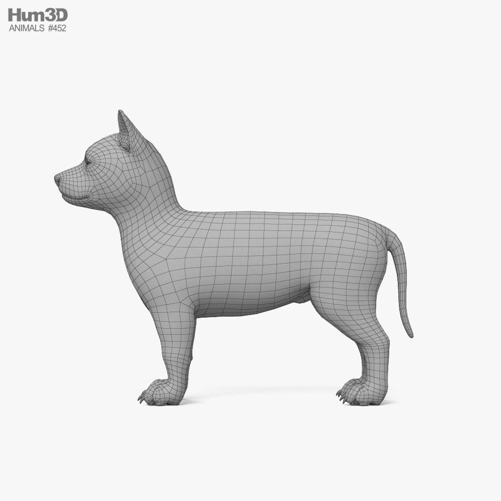 Cachorro de Husky Siberiano Modelo 3D - Descargar Mammalia activado ...