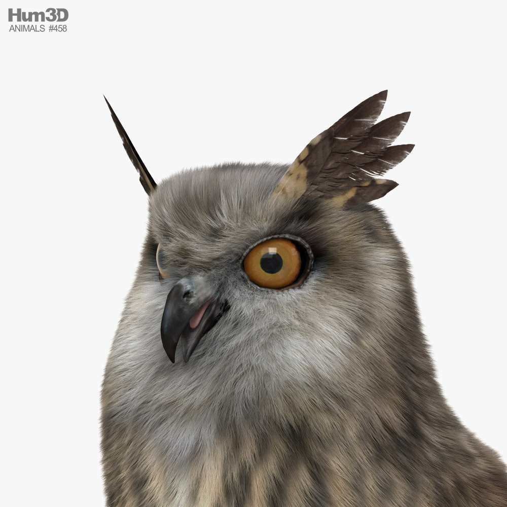 Model 3D Bufniță Mare - Descarcă Păsări pe 3DModels.org