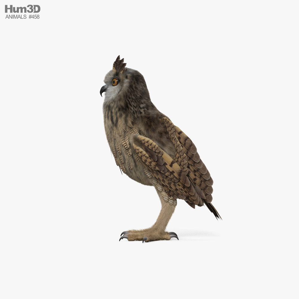 Model 3D Bufniță Mare - Descarcă Păsări pe 3DModels.org