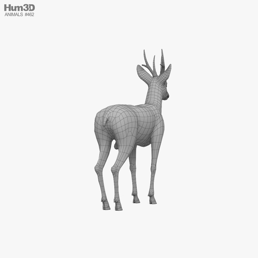 Animated Roe Deer 3D model - Download Mammals on 3DModels.org
