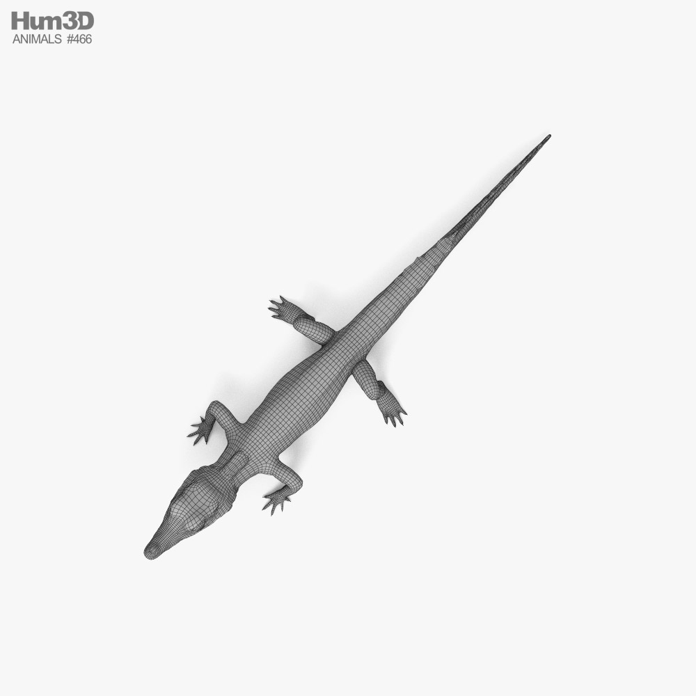 Baby Crocodile 3D model - Download Reptile on 3DModels.org