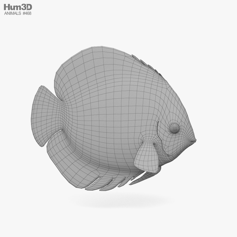Discus Fish 3D model - Download Fish on 3DModels.org