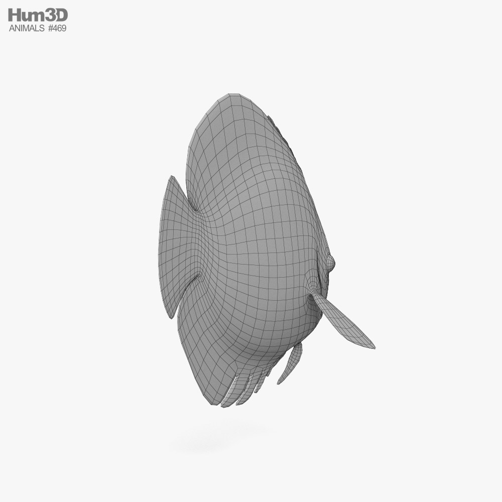 Discus Fish Blue 3D model - Download Fish on 3DModels.org
