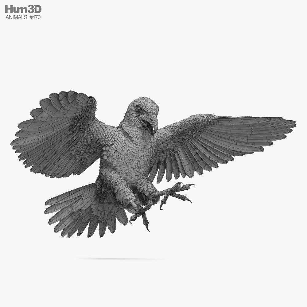 Red-tailed Hawk Attacking 3D model - Download Birds on 3DModels.org