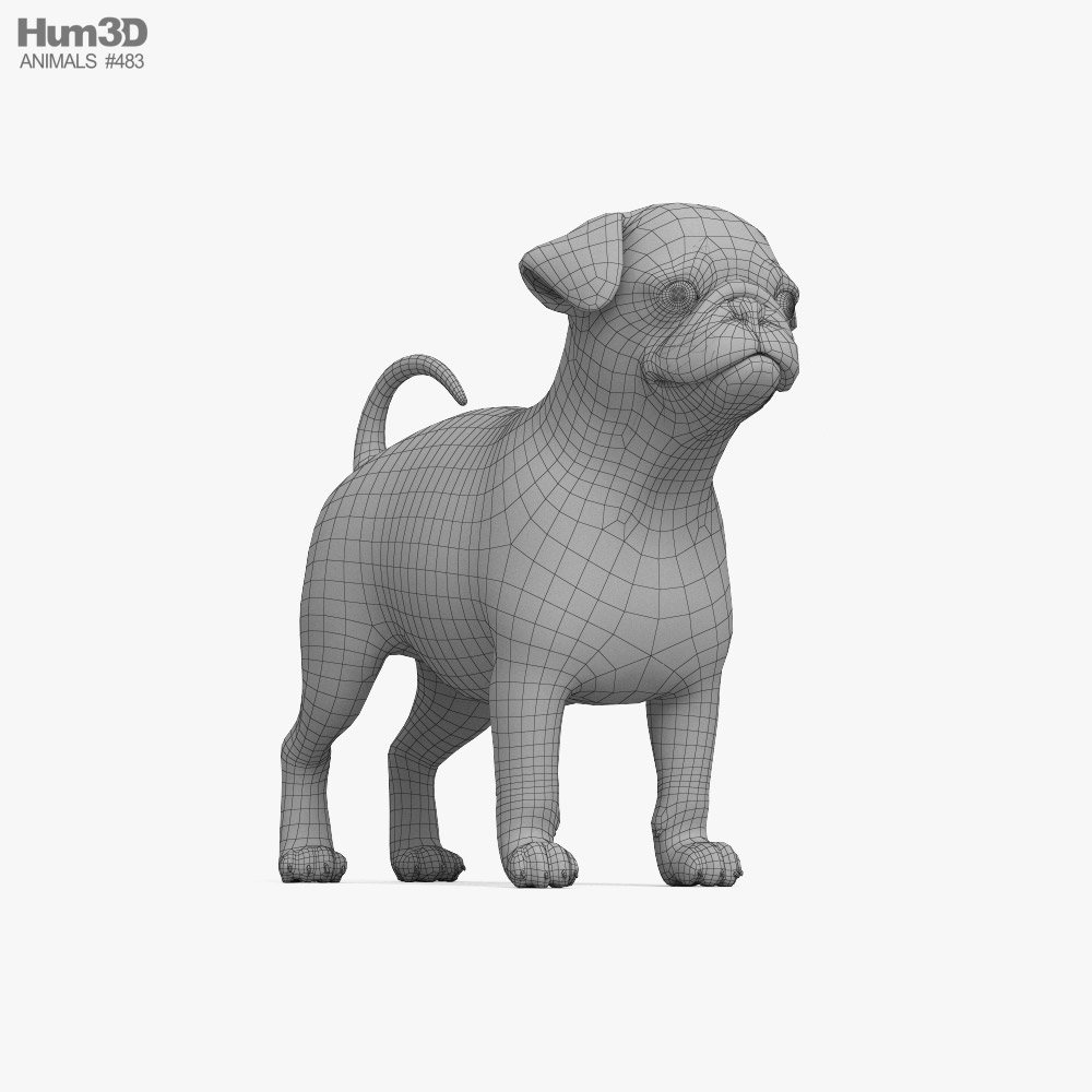 Pug Puppy 3D model - Download Mammals on 3DModels.org