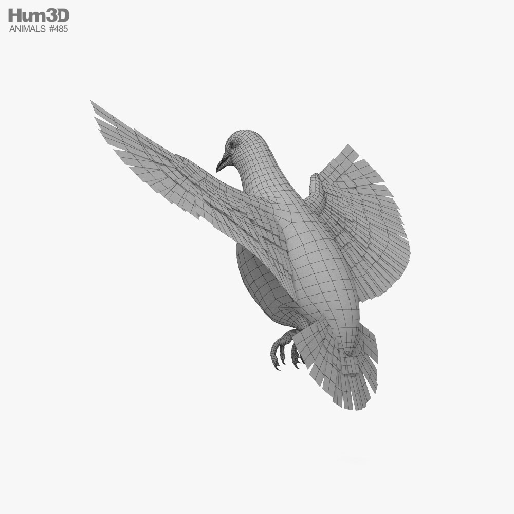 White Dove Flying 3D model - Download Birds on 3DModels.org