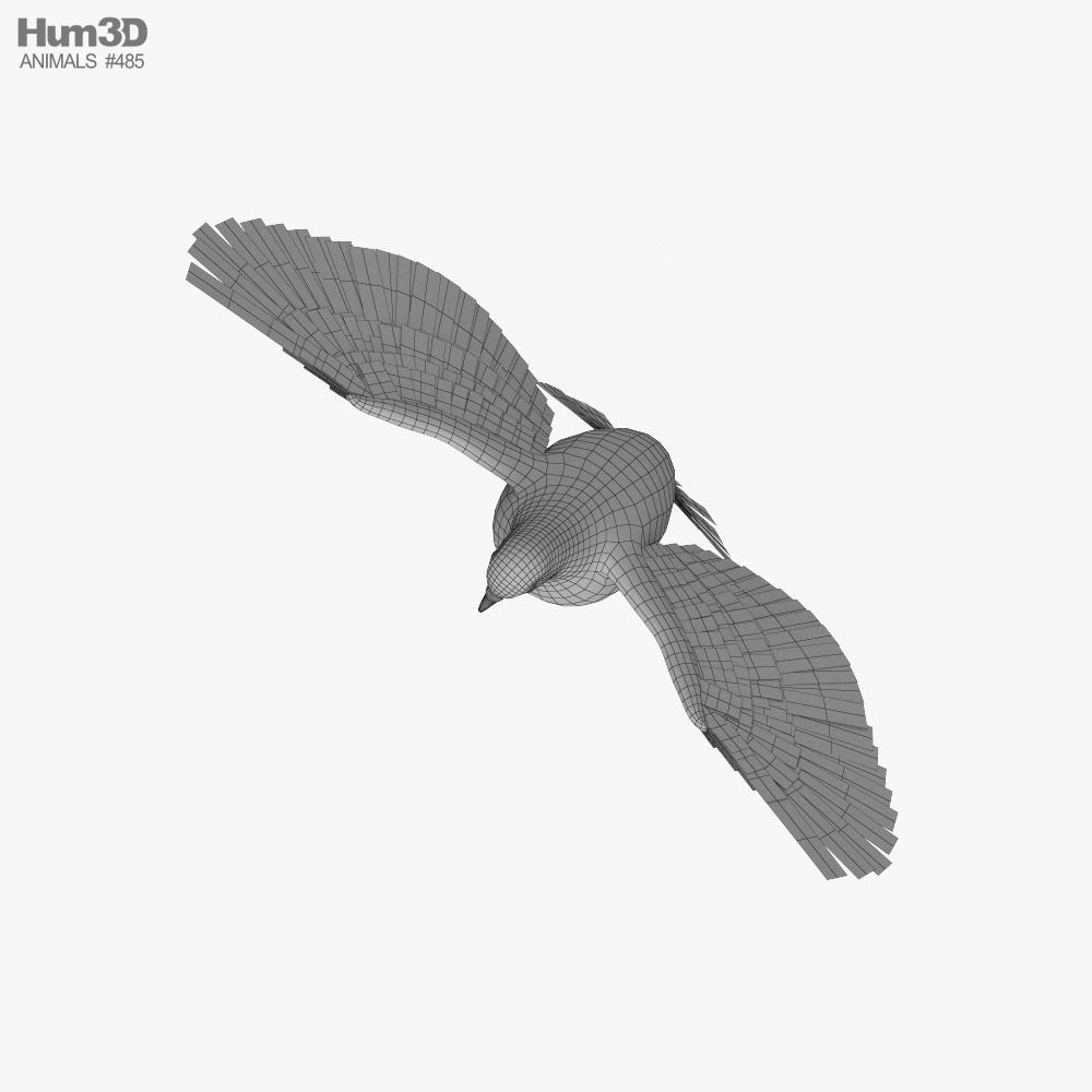 White Dove Flying 3D model - Download Birds on 3DModels.org