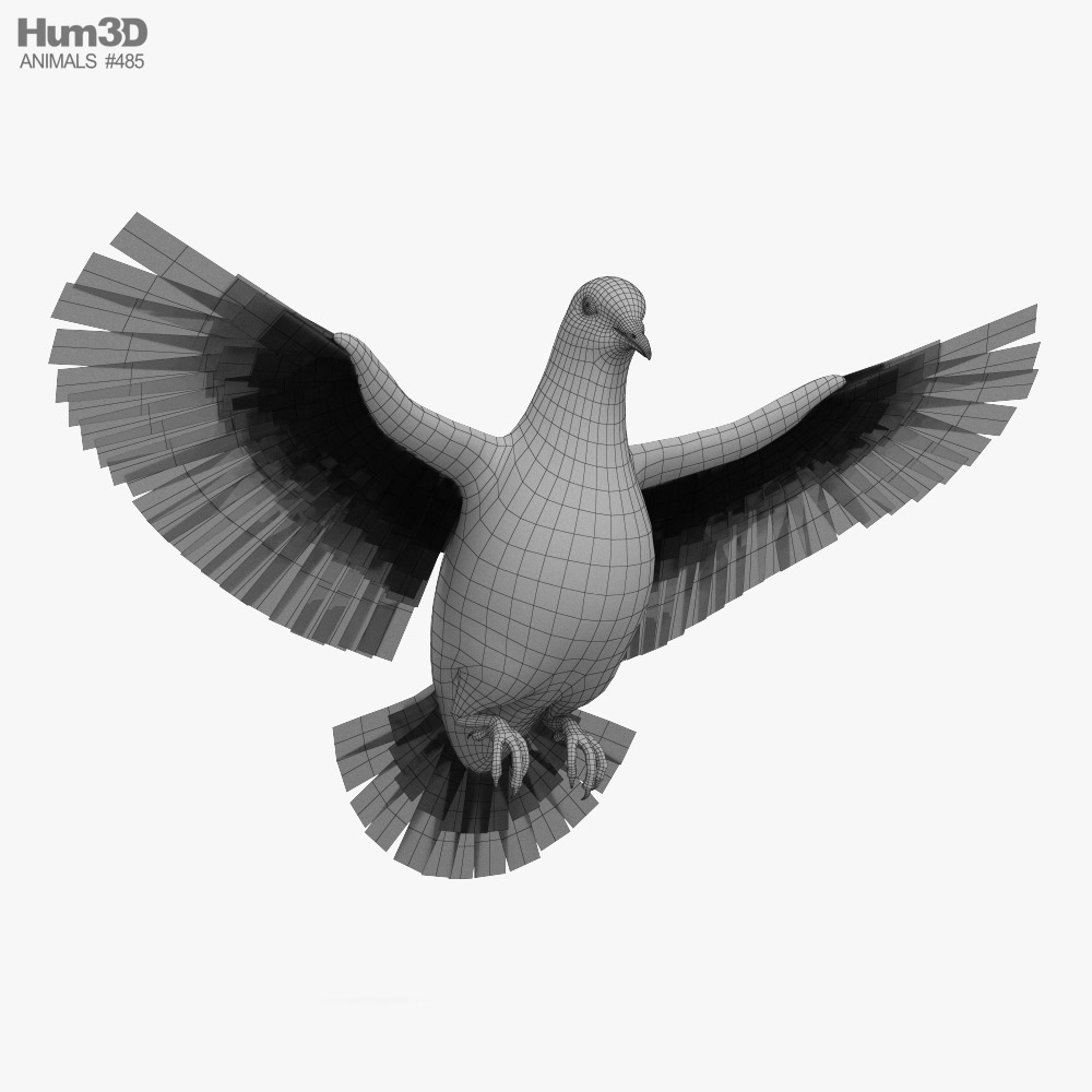 White Dove Flying 3D model - Download Birds on 3DModels.org
