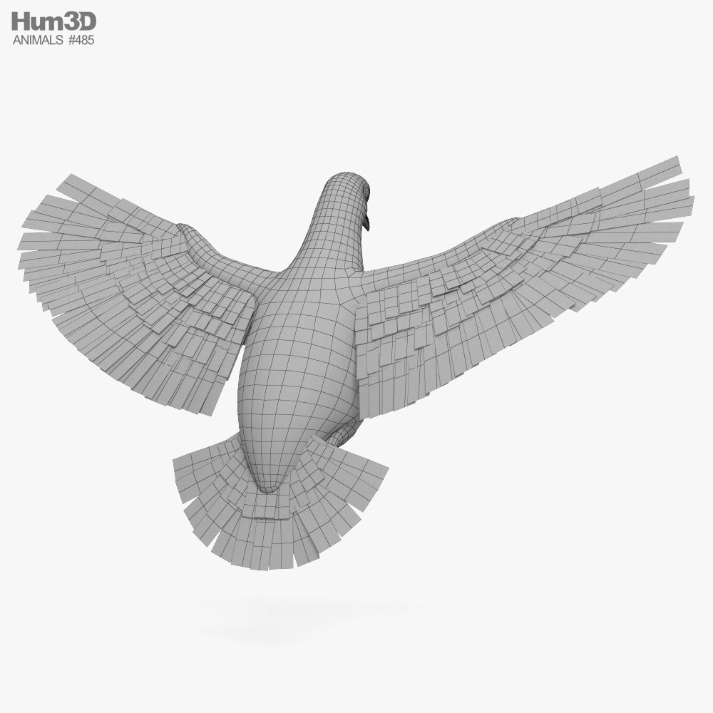White Dove Flying 3D model - Download Birds on 3DModels.org