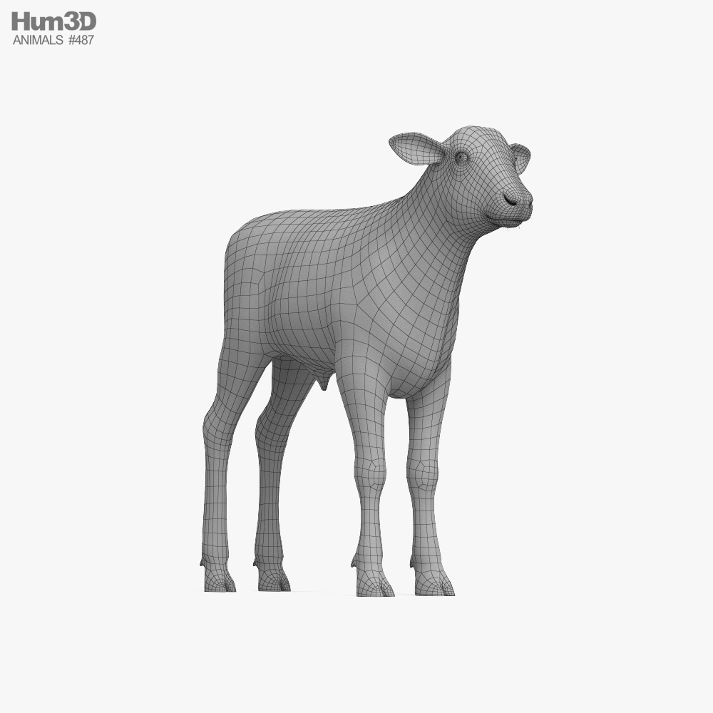Animiertes Braunes Kalb 3D-Modell - Herunterladen Säugetiere an ...