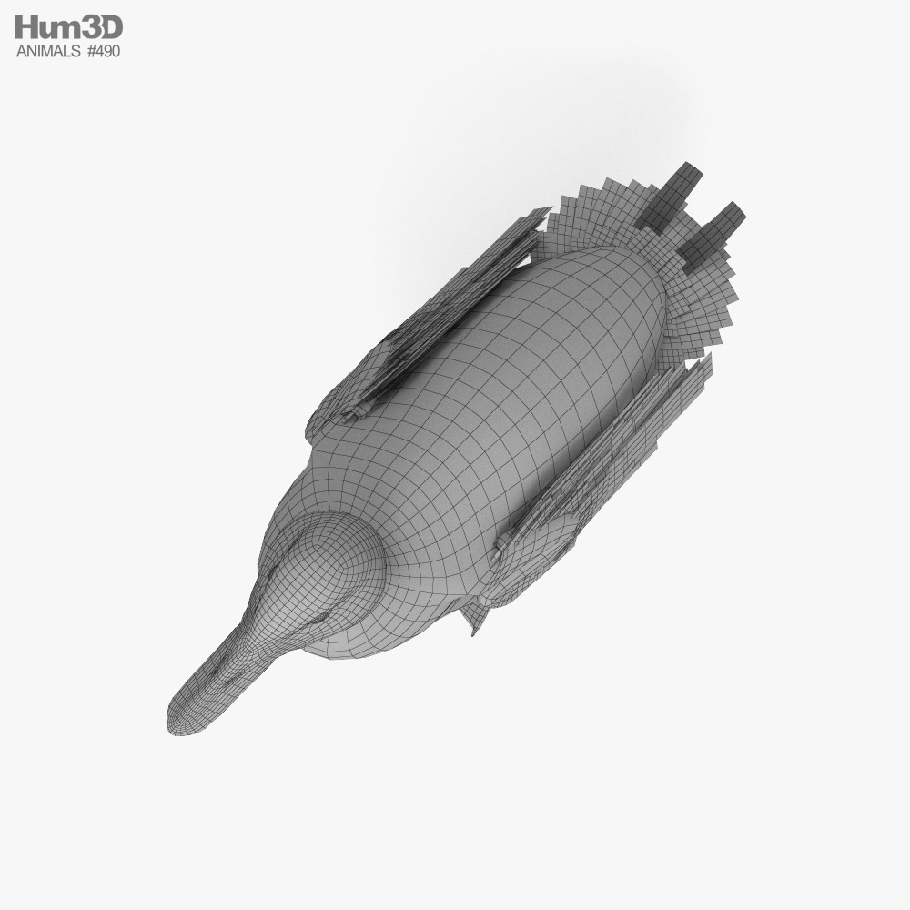 Mallard Duck 3D model - Download Birds on 3DModels.org