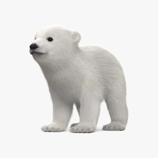 Polar bear 3D Models Download - 3DModels.org