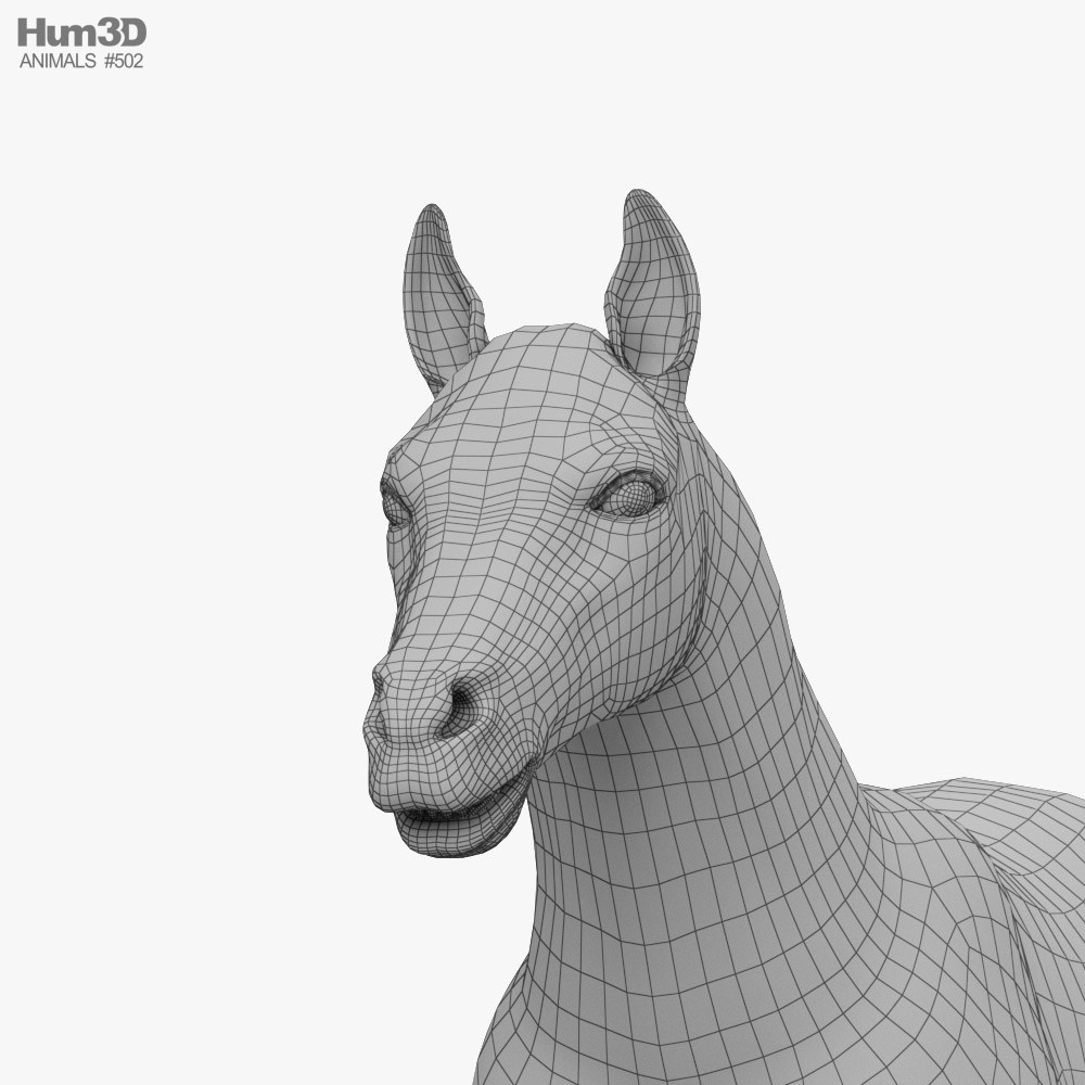 Horse Foal 3D model - Download Mammals on 3DModels.org