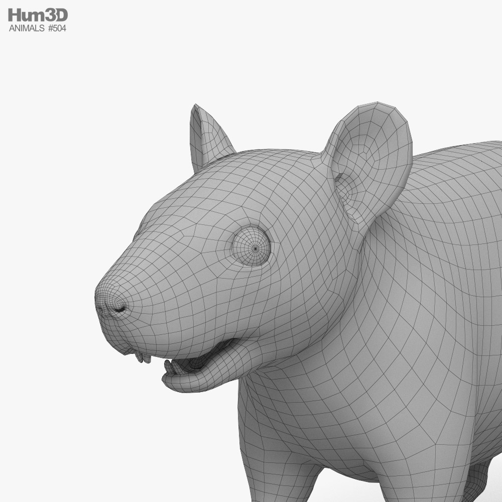 Black Rat 3D model - Download Mammals on 3DModels.org