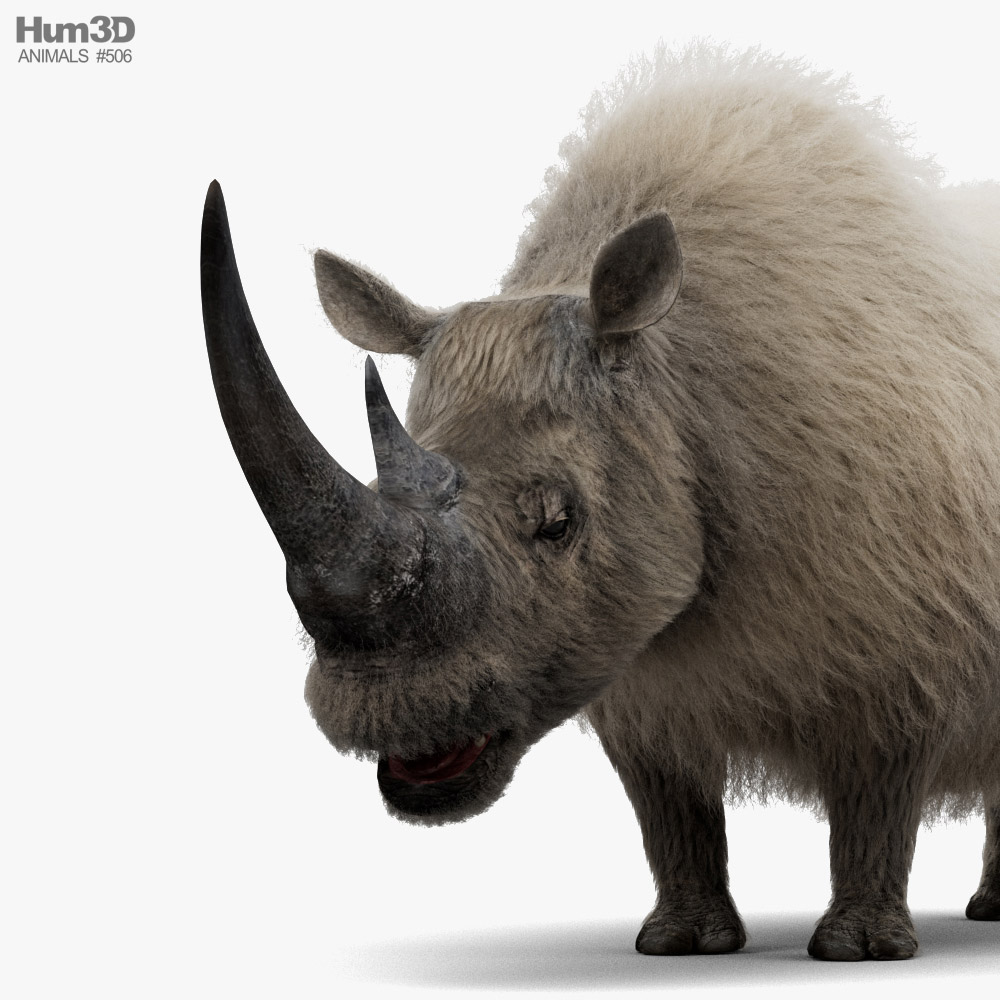 Woolly Rhinoceros 3D model - Download Mammals on 3DModels.org